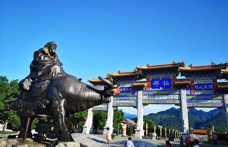 Xi'an Panda Tour: See Pandas & Experience Ancient Traditions