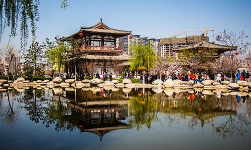 Xi'an Spring Tour: Cherry Blossoms & Historic Temples in One Day