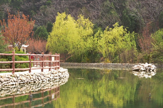 Lishan Mountain: A Hidden Gem for Nature Lovers and Adventurers